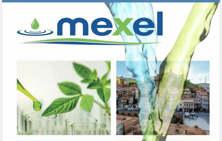 საქართველოს ბაზარზე Mexel-ი შემოდის | Business Political Insights