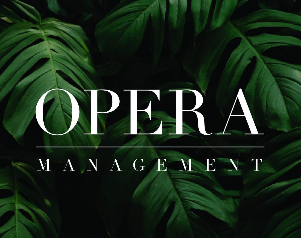 Opera Management-ი ქართულ ბაზარზე იწყებს ოპერირებას | Business ...